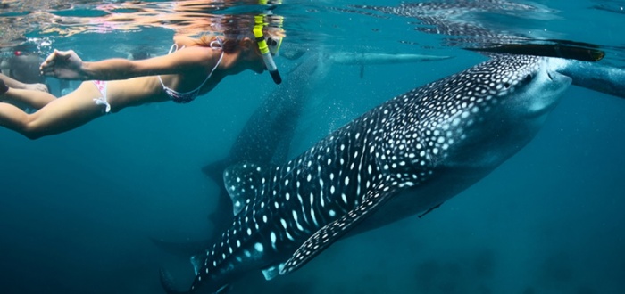5 Tips in Selecting the Best Places to Visit in Cebu City | Focus ...