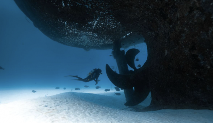 Siyam World Launches Wreck to Reef, an Annual Ocean Conservation ...