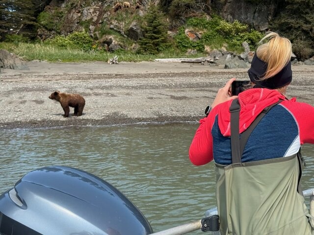 Bear Viewing in Alaska Launches Guided Tours for the Ultimate Grizzly ...