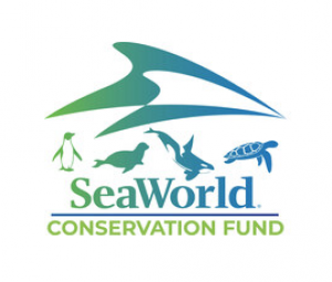SeaWorld Conservation Fund Celebrates 20 Years of Marine Animal ...