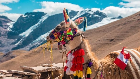 Distant Journeys Launches New South America Itineraries for 2026 | News ...