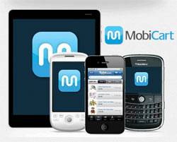 Former Google Director joins the MobiCart Ranks | News | Breaking ...