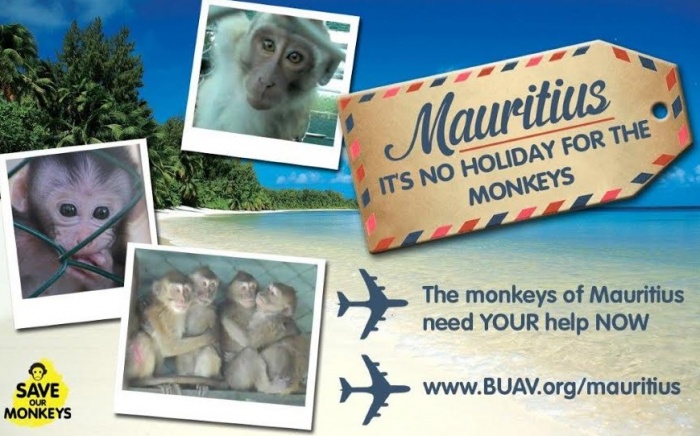BUAV launch tourism awareness campaign | News | Breaking Travel News