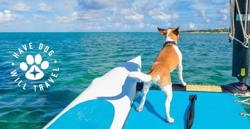 Aruba Invites Pet Parents and their Dogs to Experience The Aruba Effect ...
