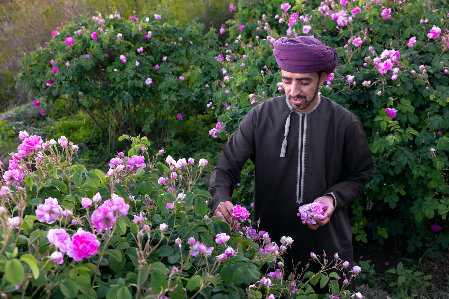 Mist, Mountains and Magical Heritage: Oman’s Summer Reverie in Dhofar ...