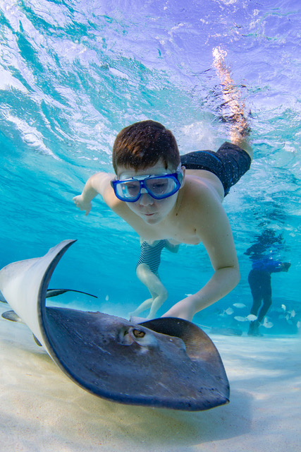 Learn to take incredible pictures underwater! | Focus | Breaking Travel ...
