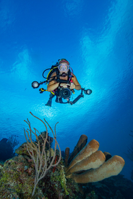 Learn to take incredible pictures underwater! | Focus | Breaking Travel ...