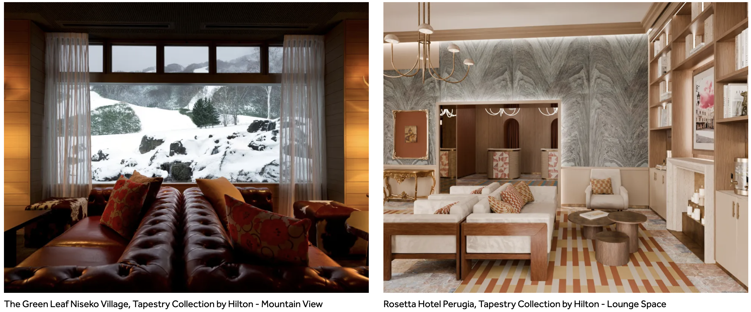 Hilton’s Curio and Tapestry Collections Each Celebrate 200th Hotel ...