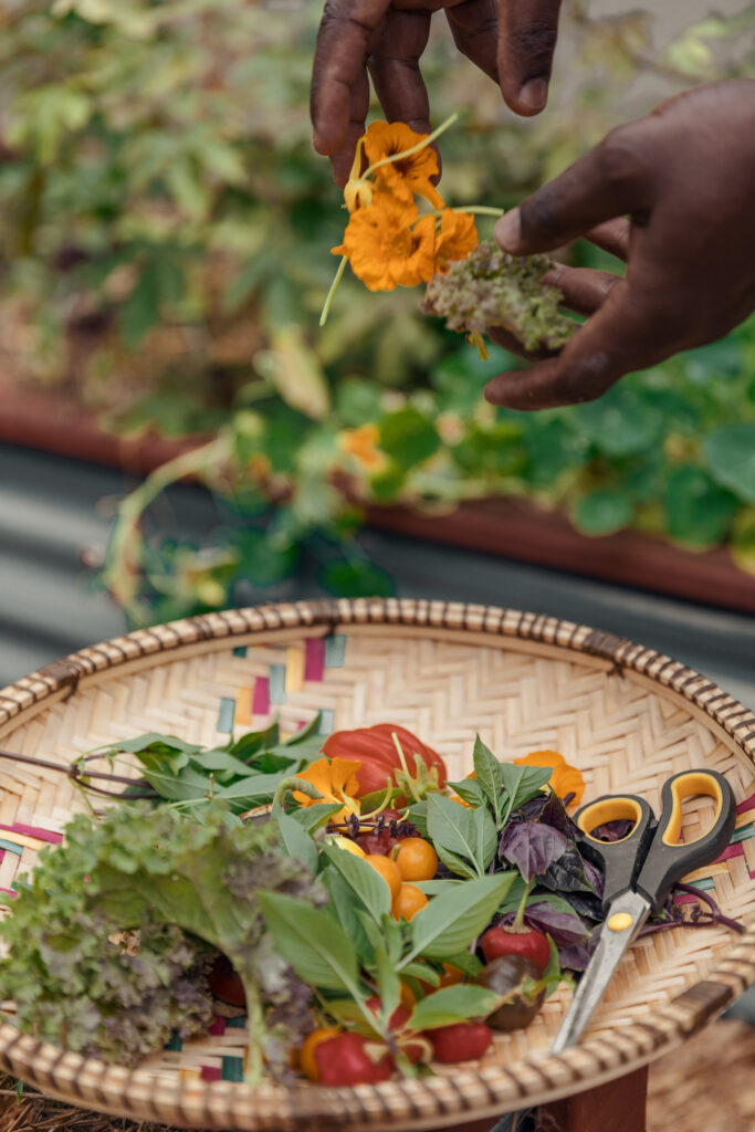 Finch Hattons: 30 Years of Kenyan-Owned Luxury Safari and Community ...