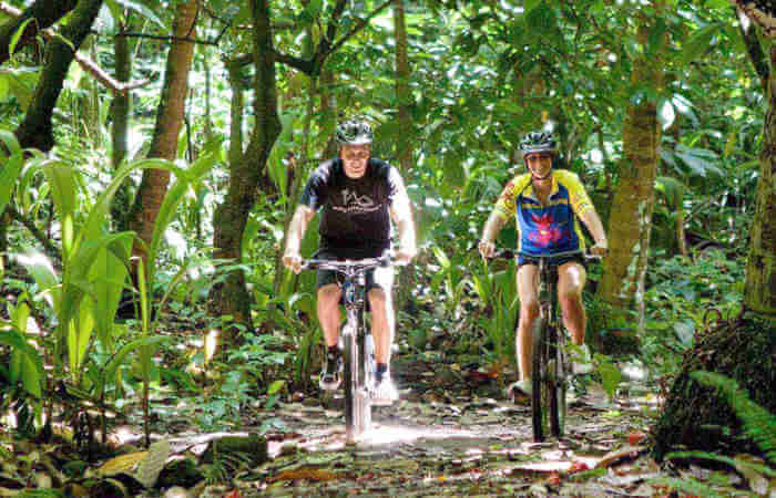 Embracing Nature’s Symphony: Discovering the Wildlife at Bacab Eco Park ...