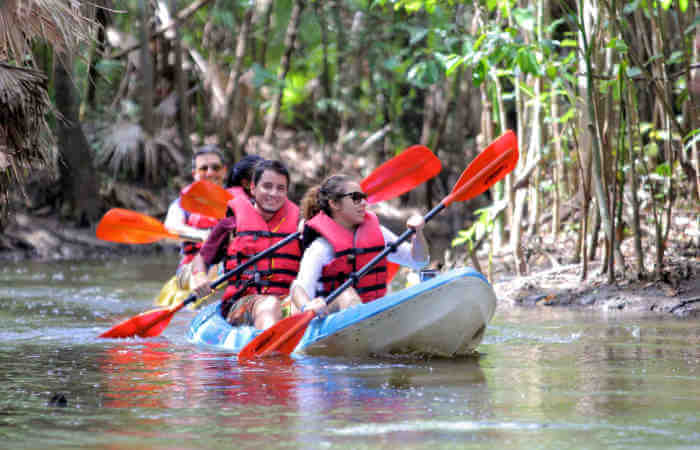 Embracing Nature’s Symphony: Discovering the Wildlife at Bacab Eco Park ...