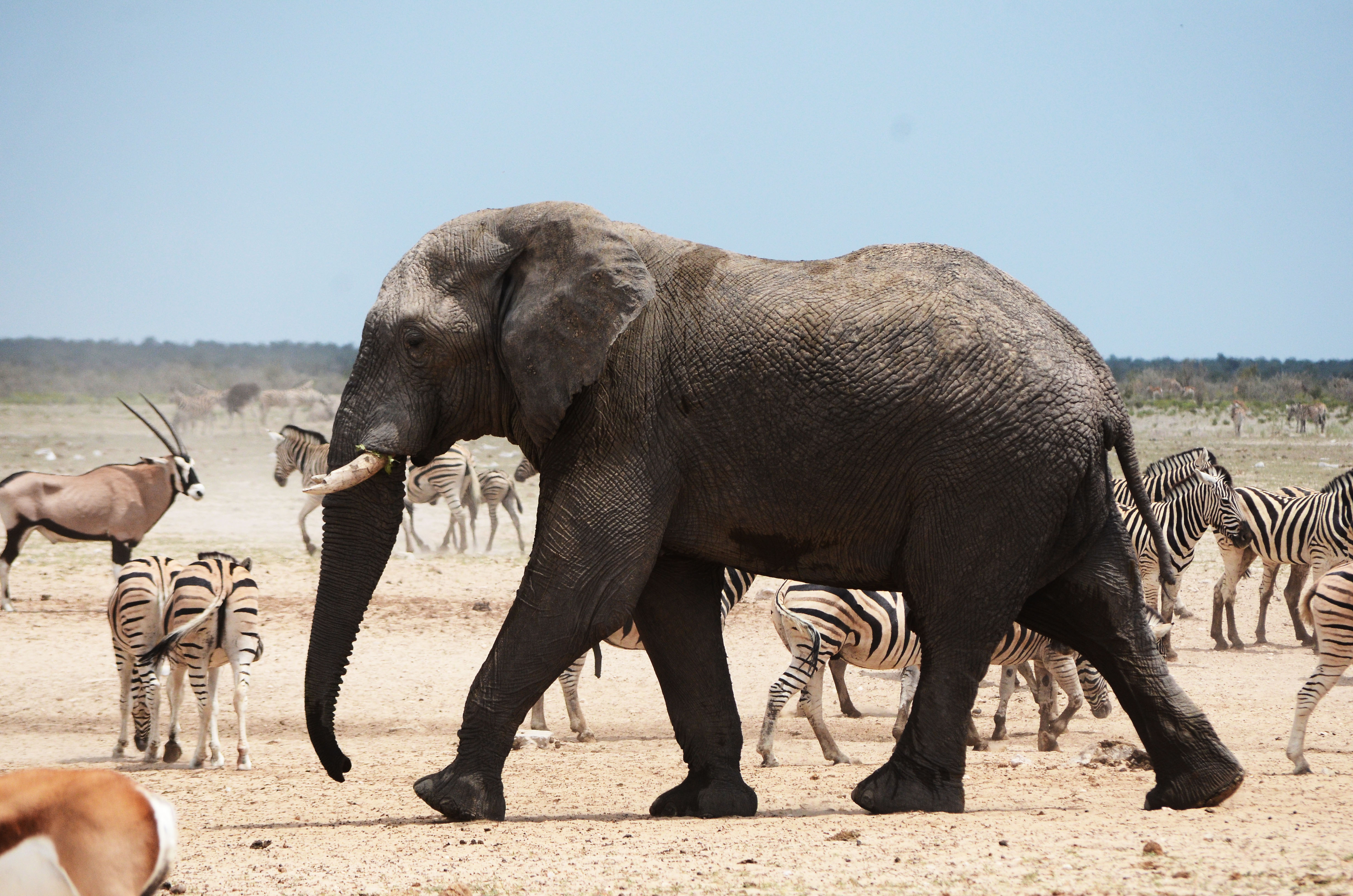 Breaking Travel News explores: Self-driving 4x4s in Namibia | News ...