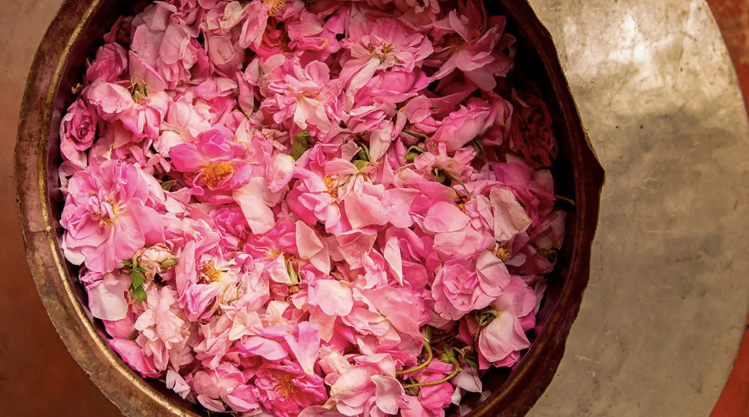 5 Must-Do Saudi Experiences to Add to Your Bucket List This Summer ...
