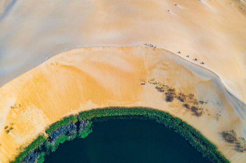 7 Must-visit Nature Reserves & Resorts in Saudi to Reconnect with ...