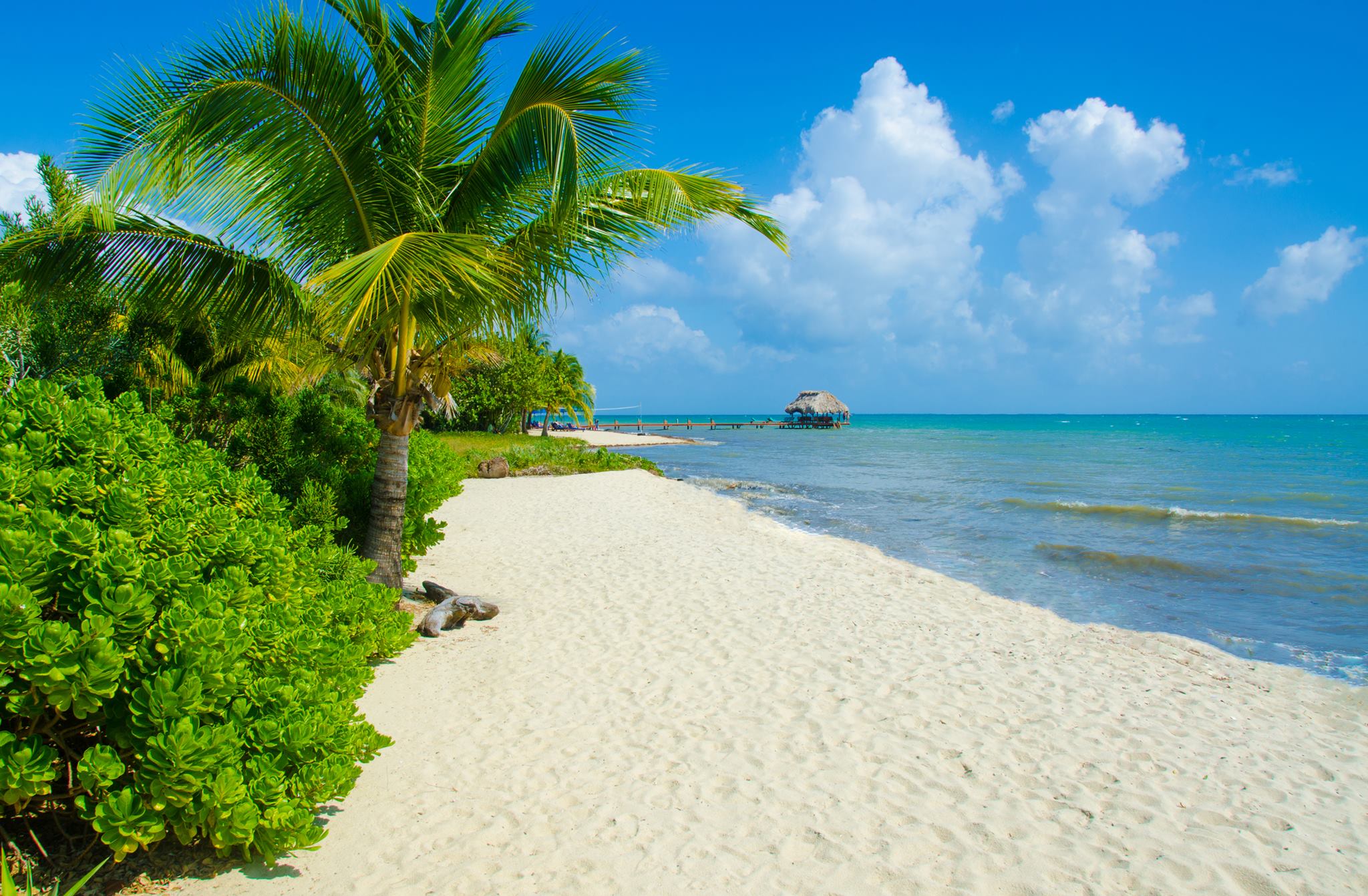 “Serenity Found: Relaxing on Belize’s Beautiful White-Sand Beaches in ...