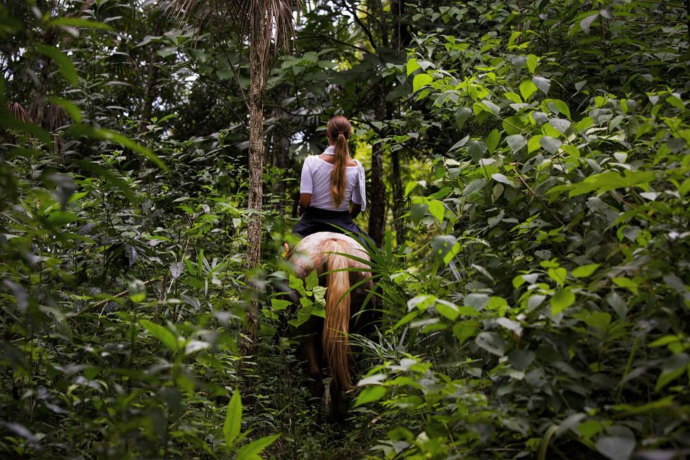 Riding into the Heart of the Jungle: Exploring Belize on Horseback ...
